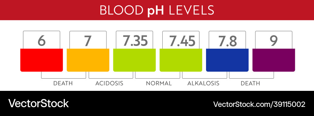 Human blood ph range Royalty Free Vector Image