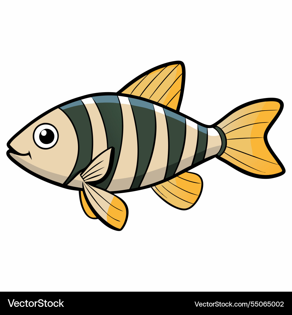 Zebra danio fish isolated flat on white background
