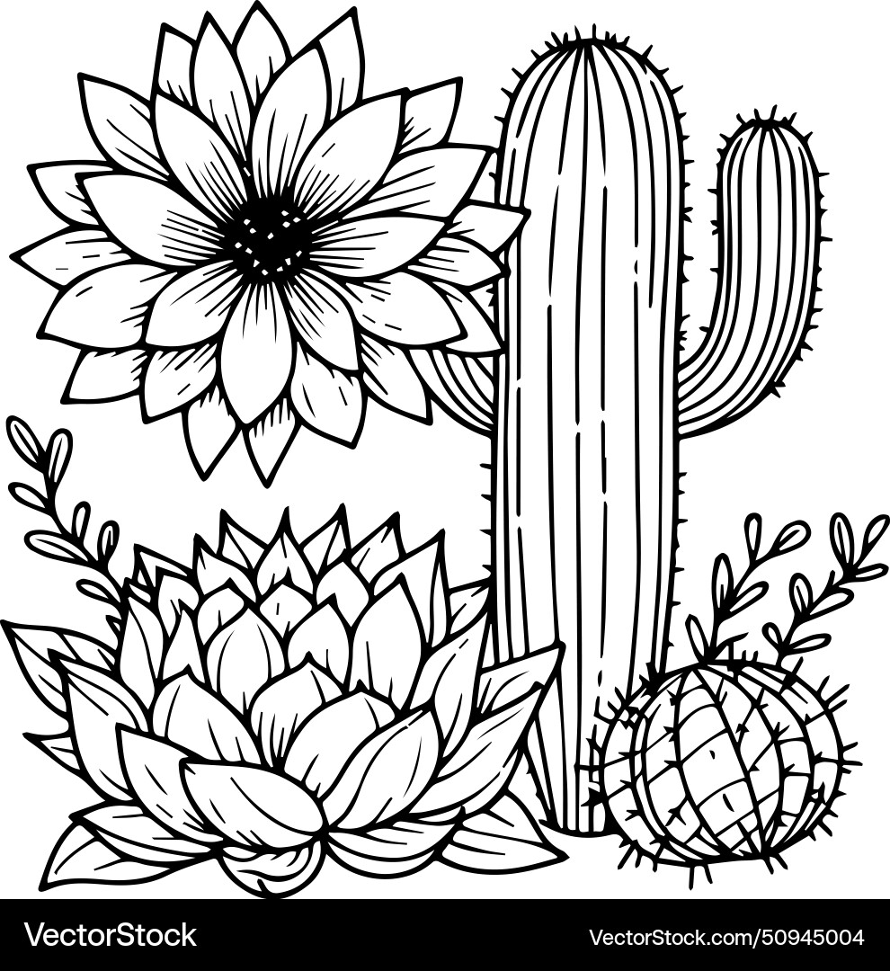 Pencil cactus drawing sketch draw Royalty Free Vector Image