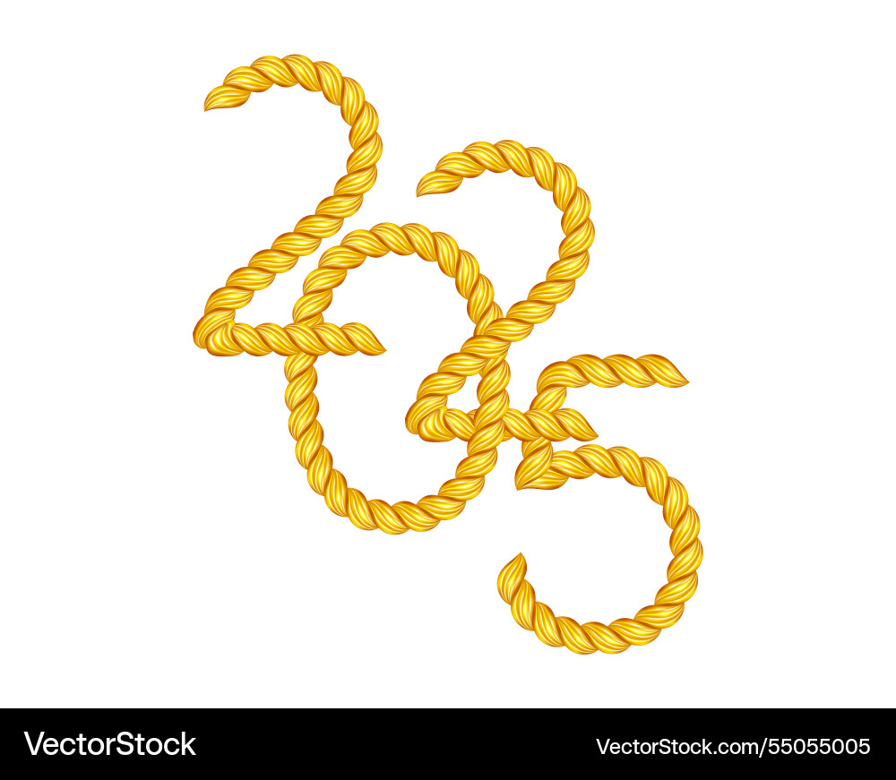 2025 gold twisted rope number thin cord realistic Vector Image