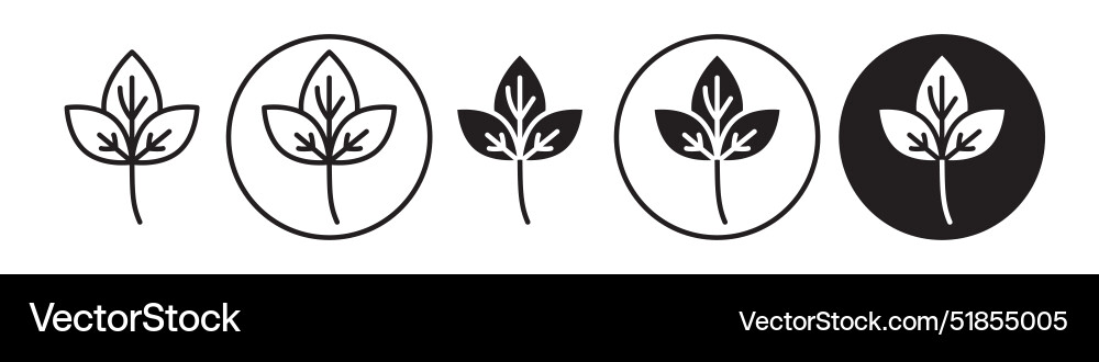 Basil icon set collection for web Royalty Free Vector Image