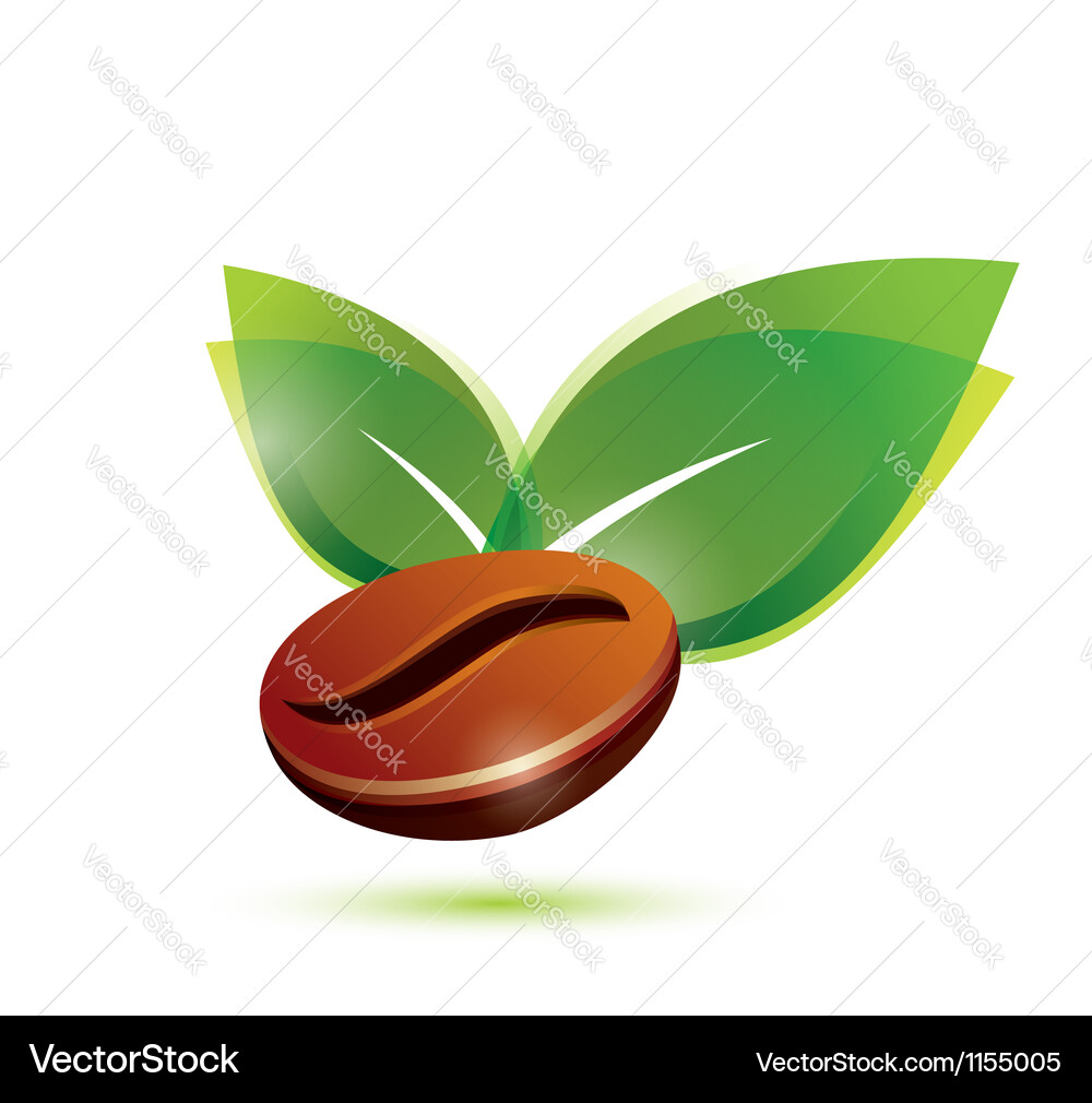 Coffee natural Royalty Free Vector Image - VectorStock