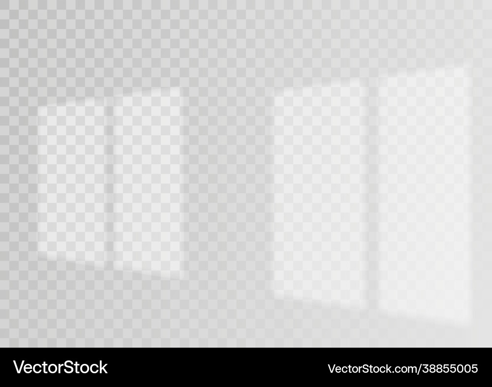Transparent overlay window and blinds shadow Vector Image