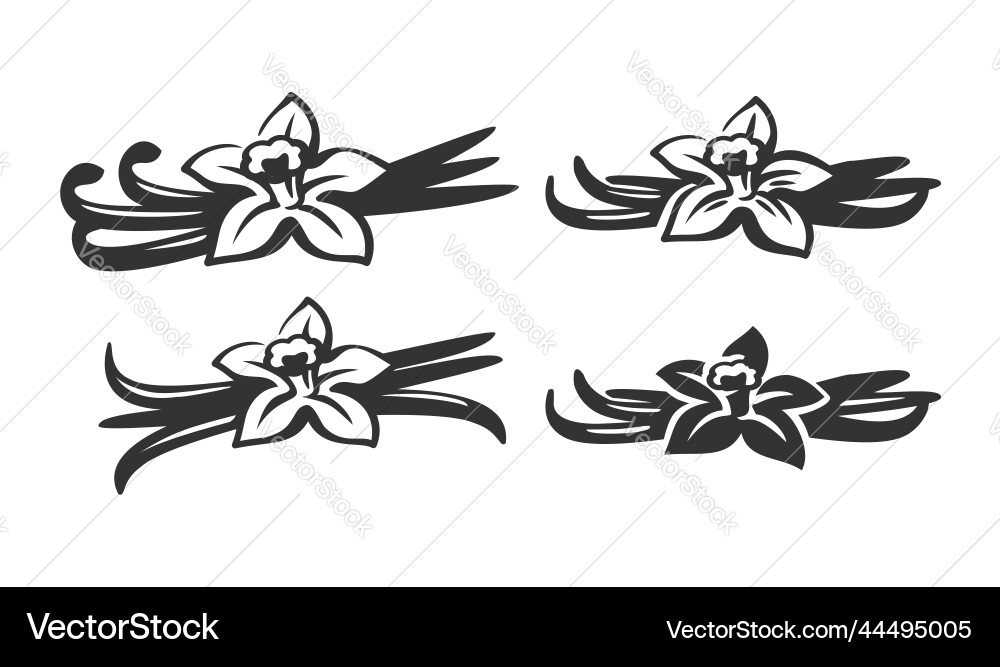 Vanilla Bean Vector 390+ Vanilla Bean Farm Stock Illustrations,