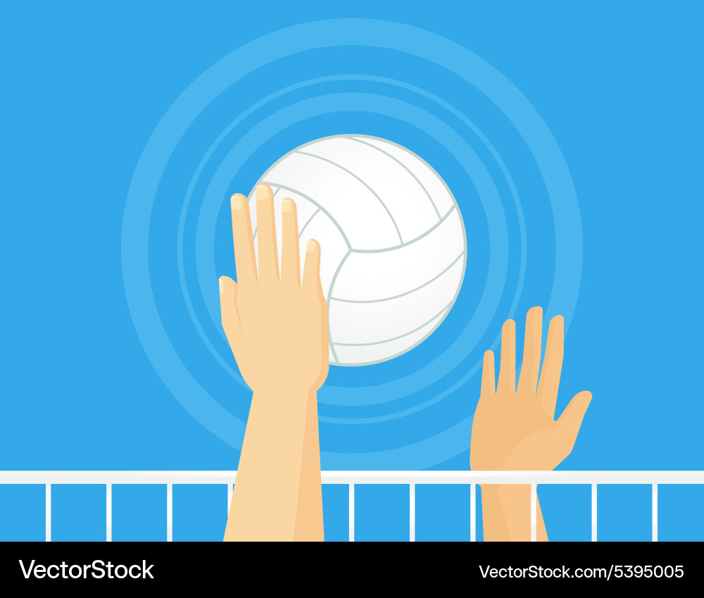 Volleyball icon Royalty Free Vector Image - VectorStock