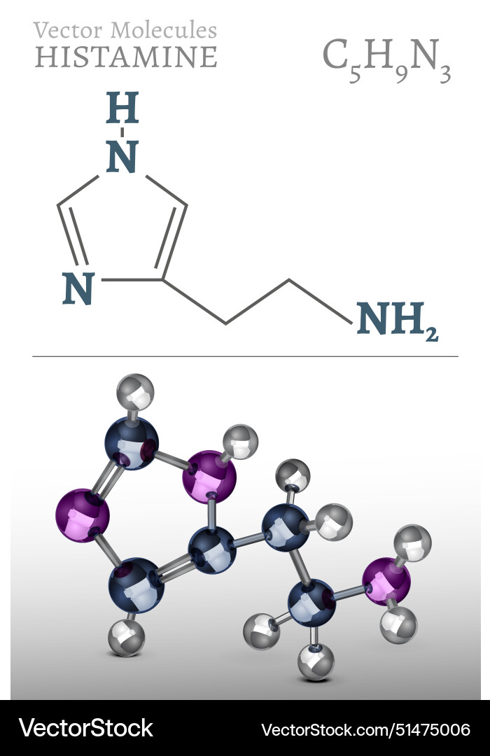 Histamine molecule structure in 3d style medical Vector Image