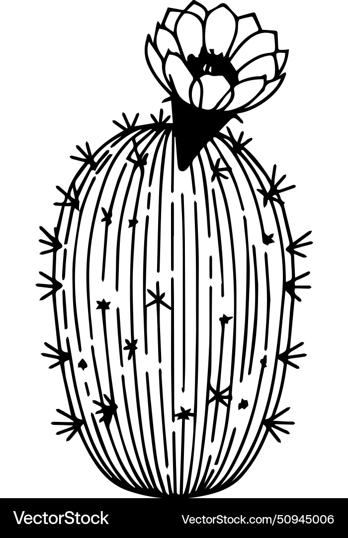 Simple cactus drawing black and white Royalty Free Vector