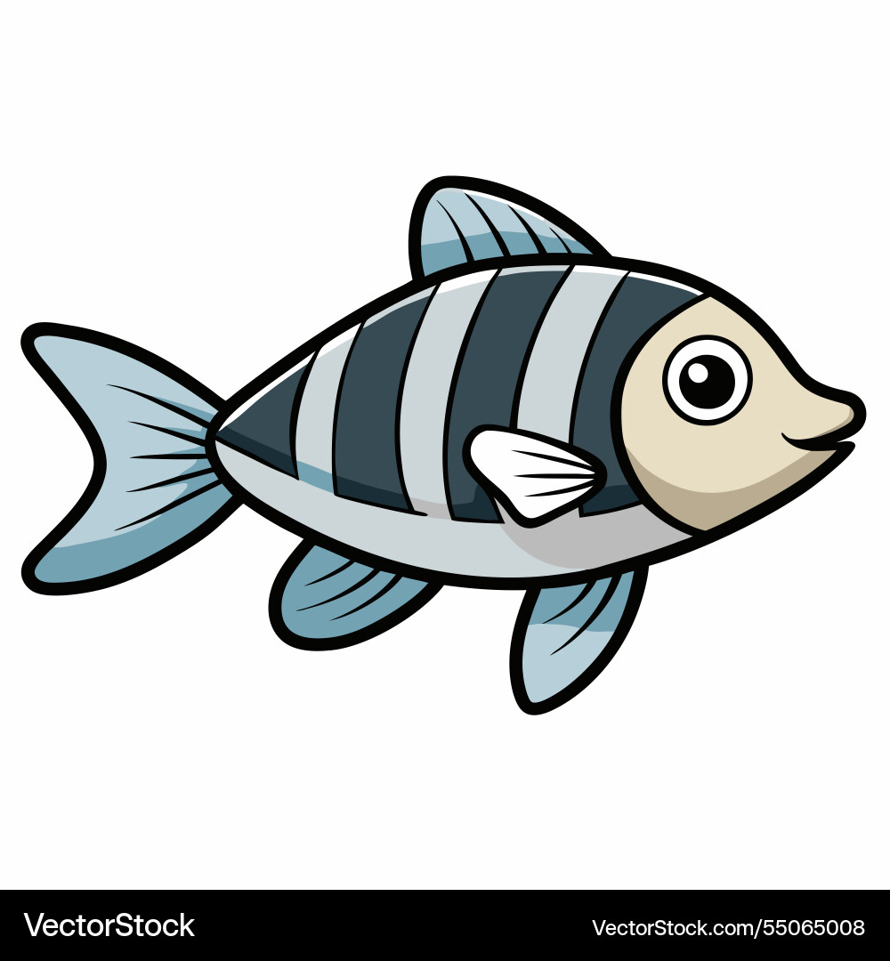 Zebra danio fish isolated flat on white background