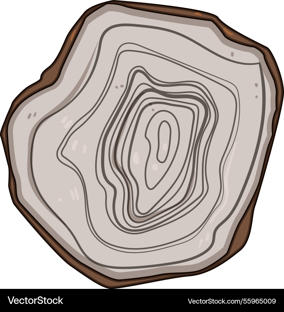 Annual tree rings cartoon Royalty Free Vector Image
