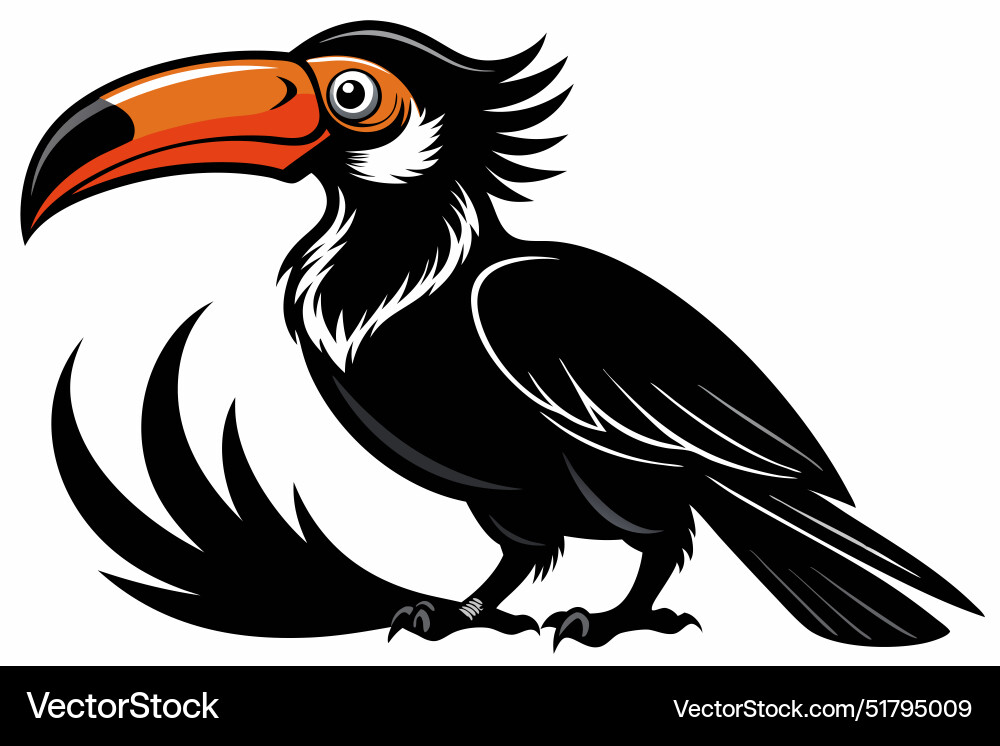 Full body view impressive beak hornbill Royalty Free Vector