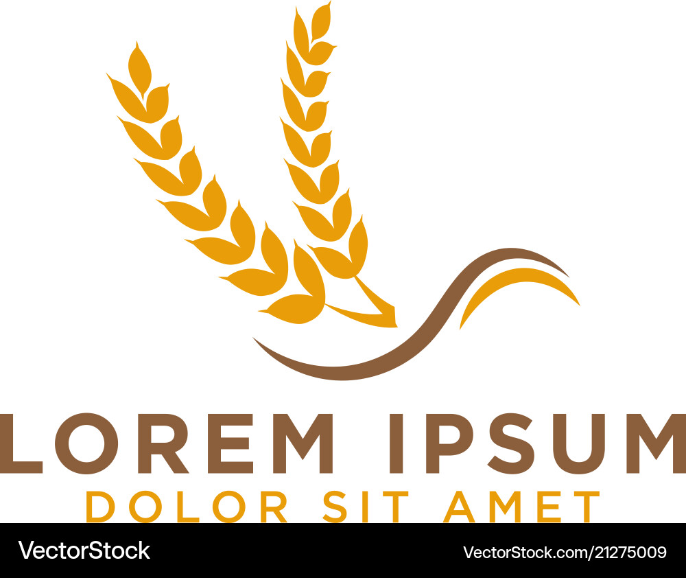 Grain logo design template Royalty Free Vector Image