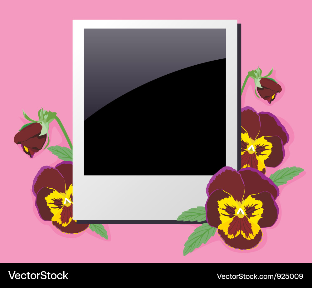 Photo frame Royalty Free Vector Image - VectorStock