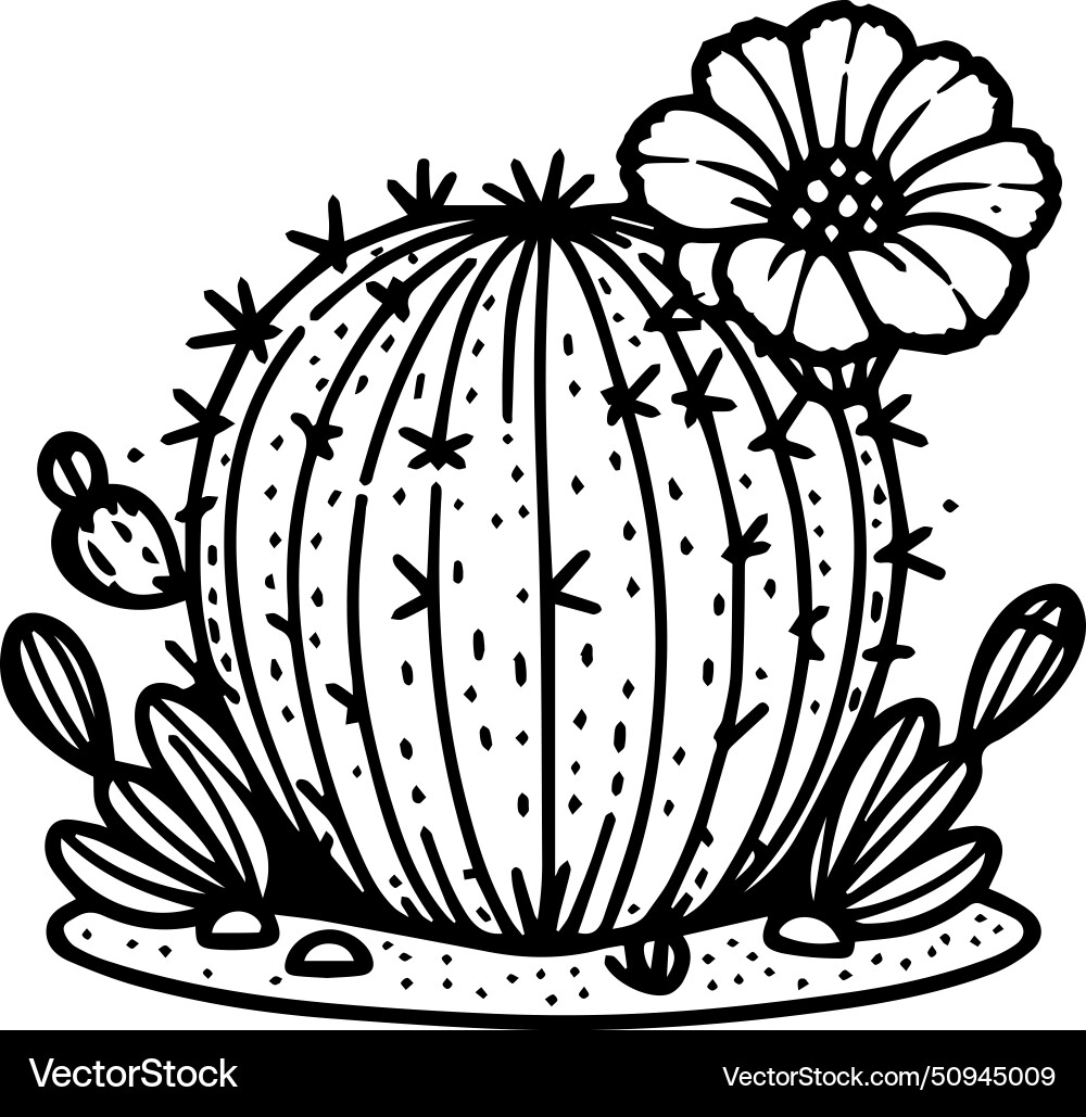 Realistic cactus coloring page pencil draw Vector Image