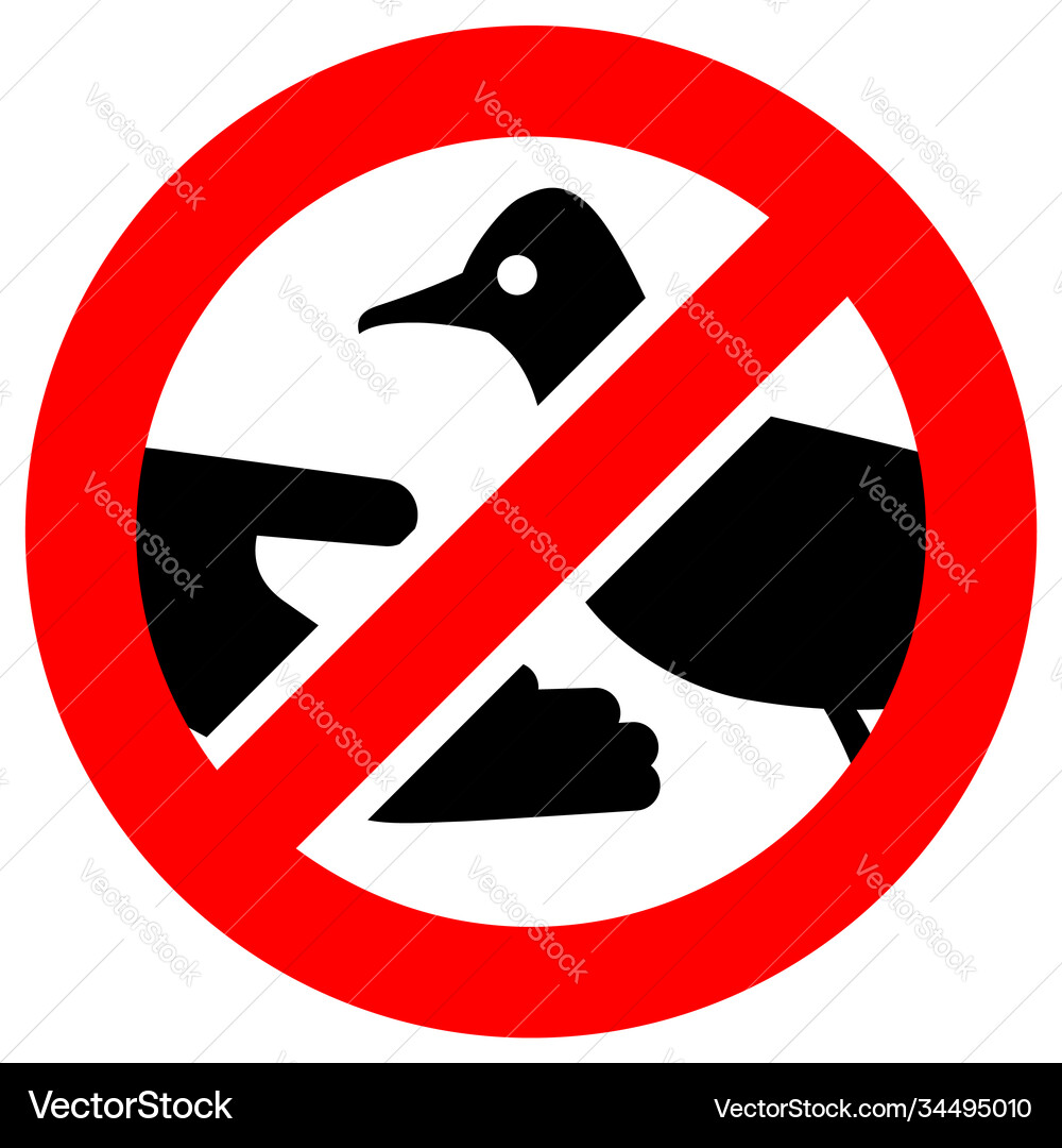 Do not feed birds forbidden sign modern round Vector Image