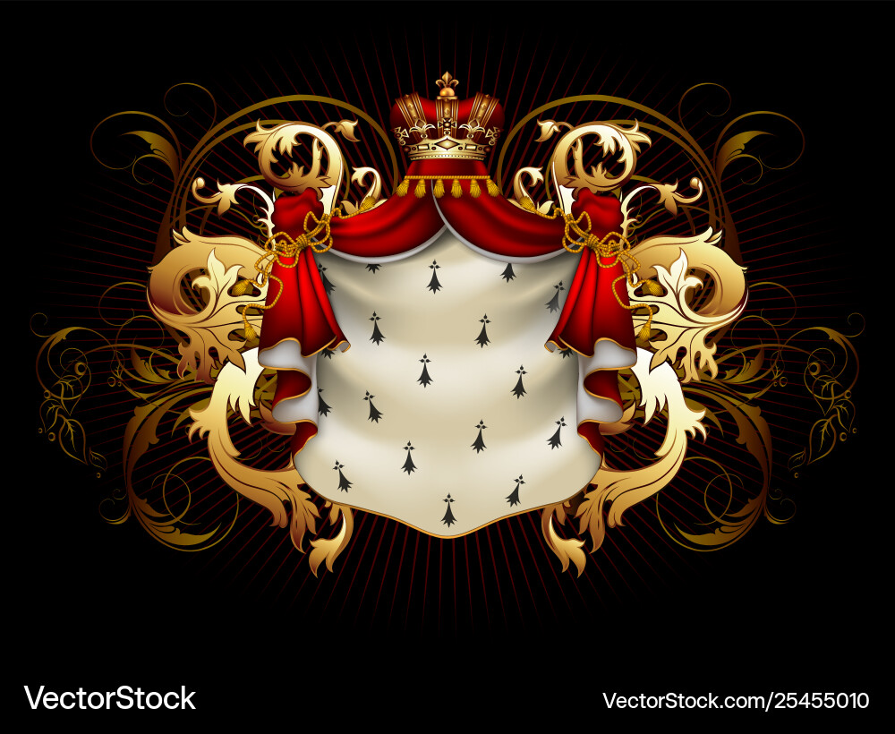 Heraldic shield with a crown and royal mantle Vector Image