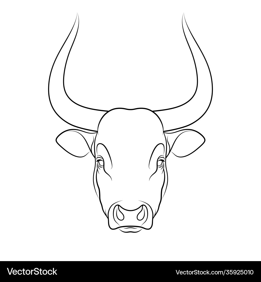 Bull Outline