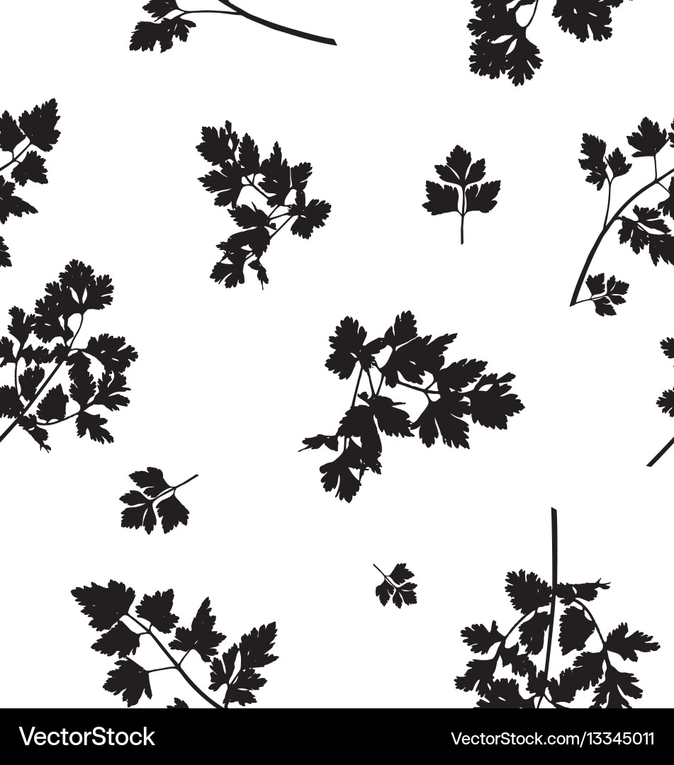 Seamless pattern design with parsley leaves Vector Image