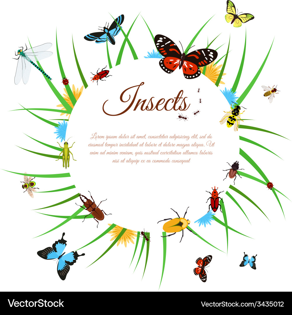 Insects background Royalty Free Vector Image - VectorStock