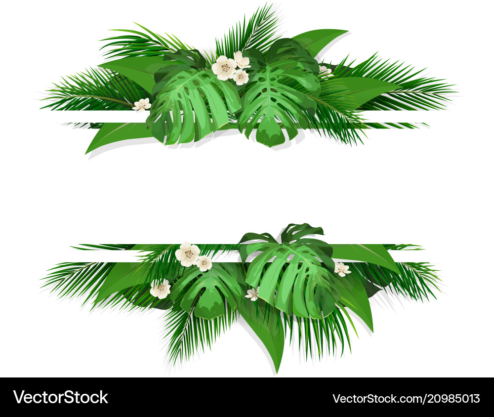 Banner with tropical leaves and flowers Royalty Free Vector