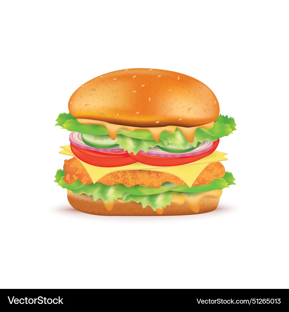 Chicken burger fast food isolated on a white Vector Image