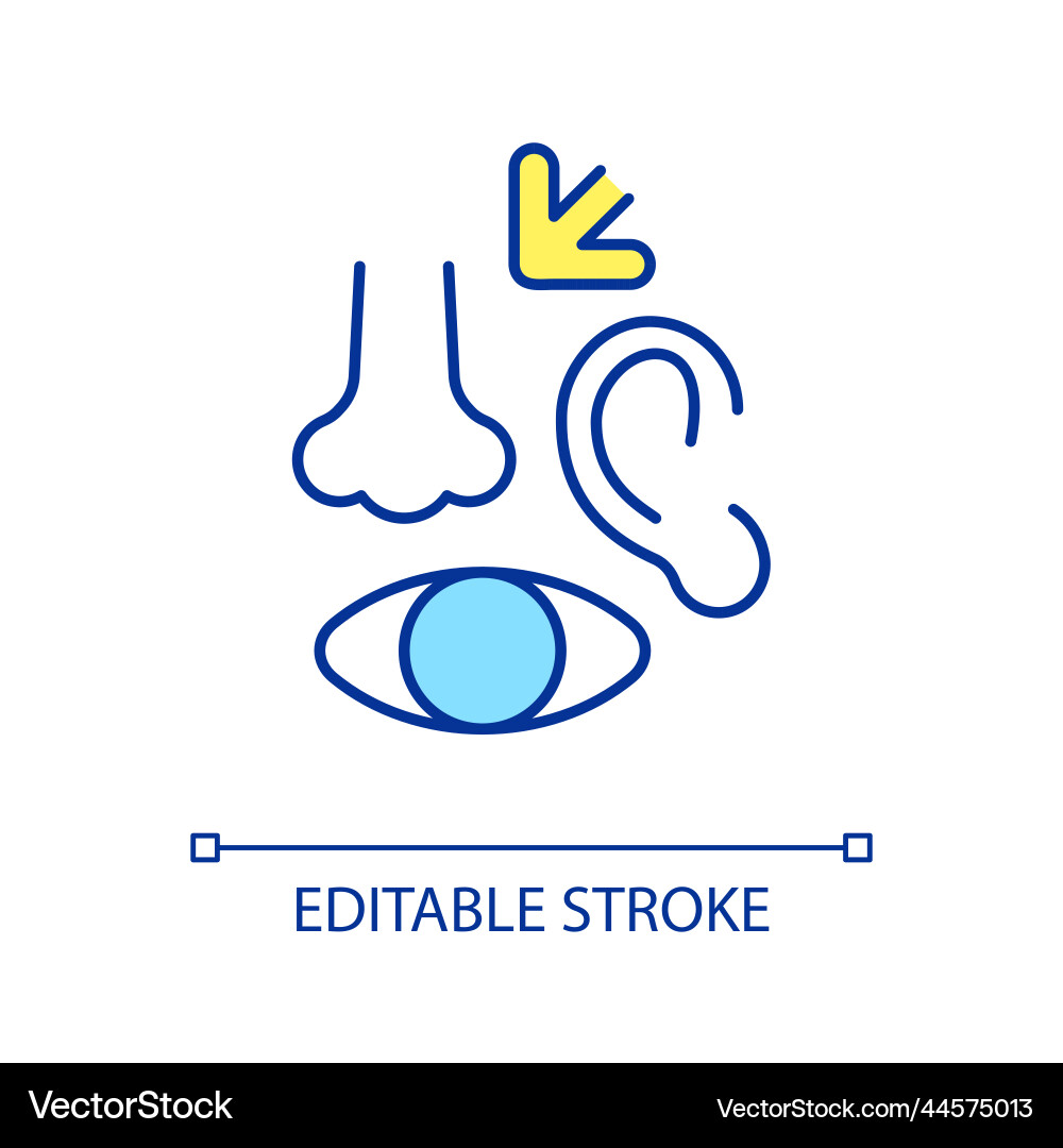 Human sense organs rgb color icon Royalty Free Vector Image