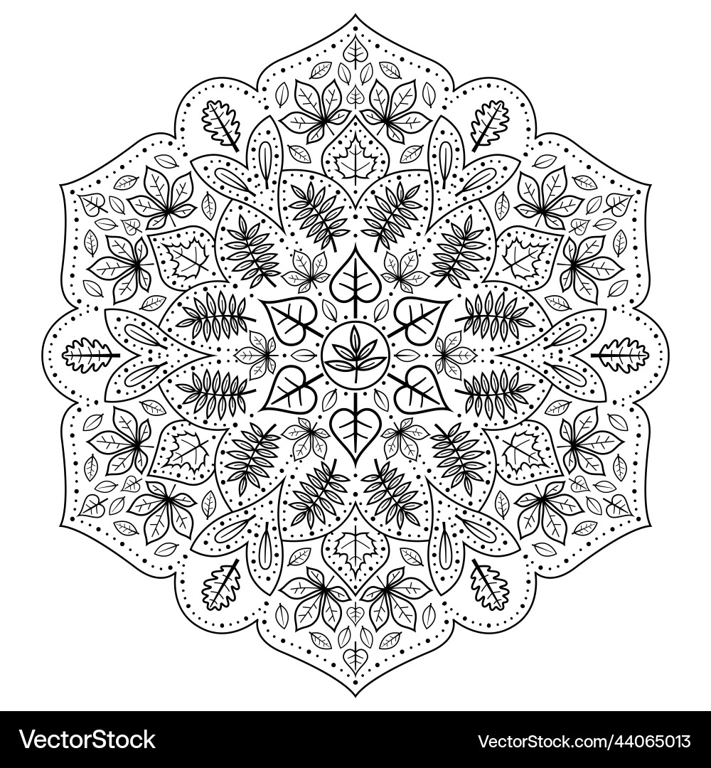 Mandala leaves Royalty Free Vector Image - VectorStock