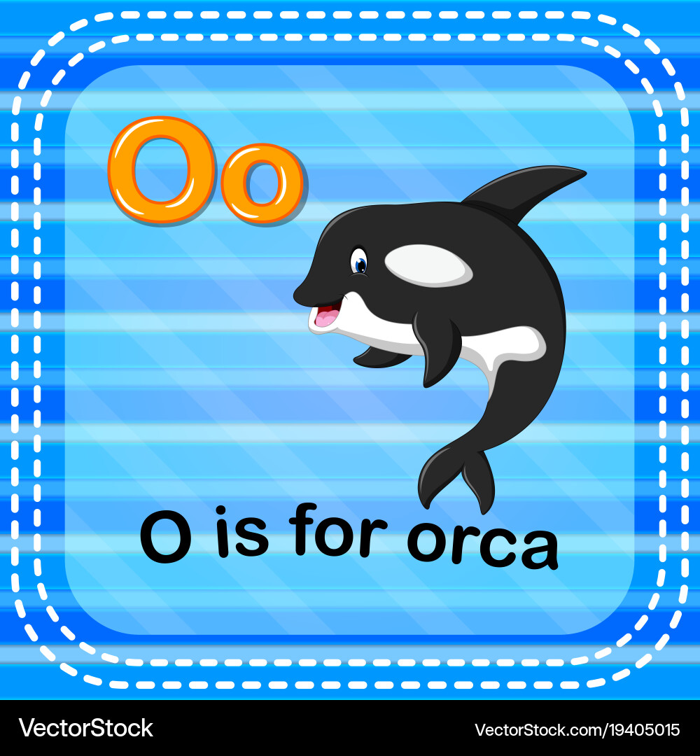 Flashcard letter o is for orca Royalty Free Vector Image