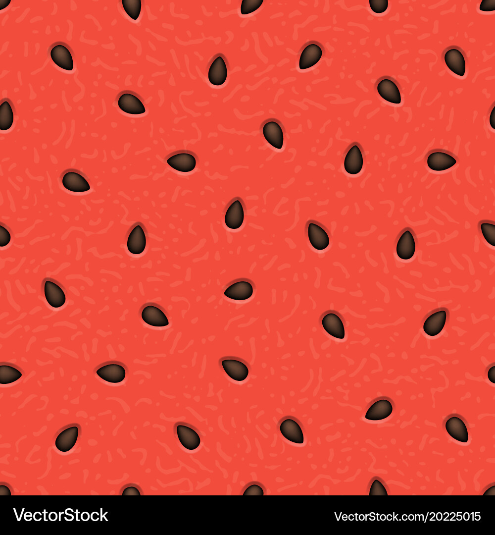 Watermelon Texture Background Royalty Free Vector Image