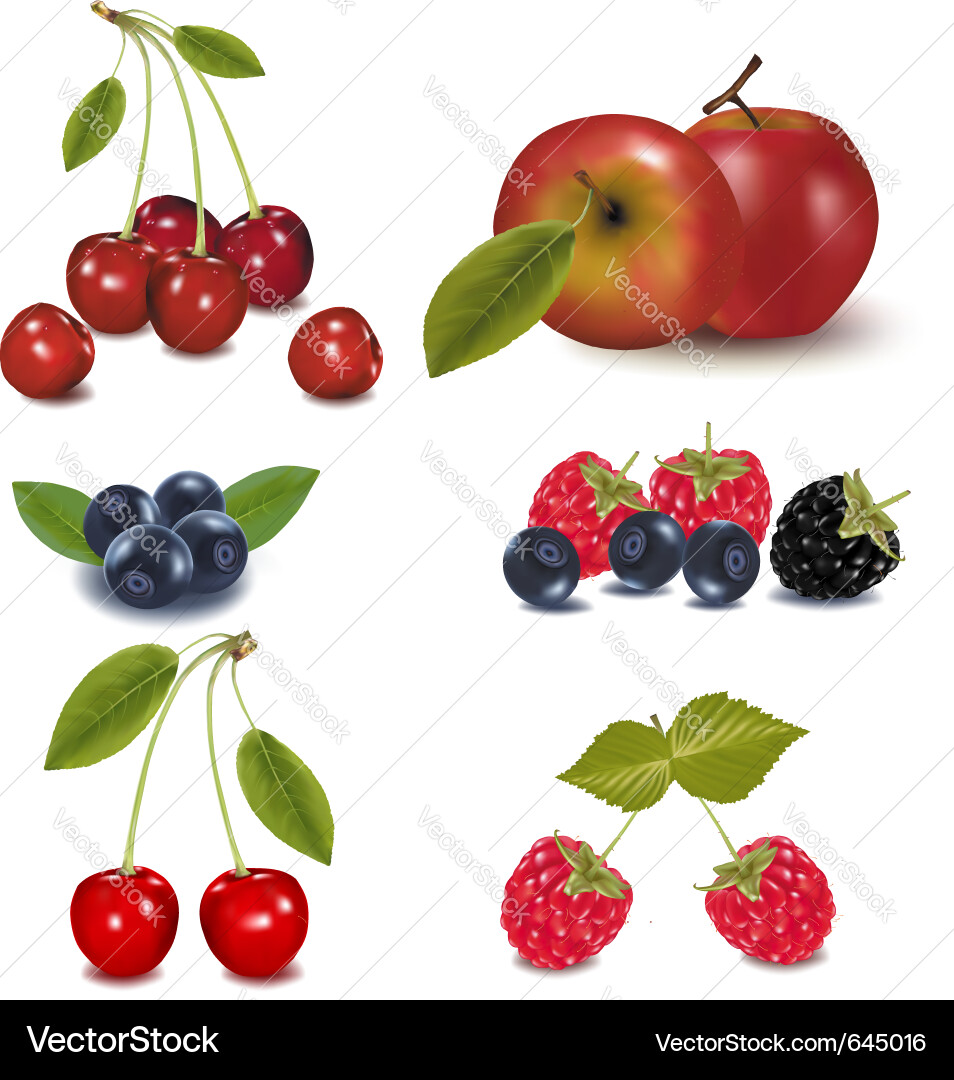 Berries and an apple Royalty Free Vector Image