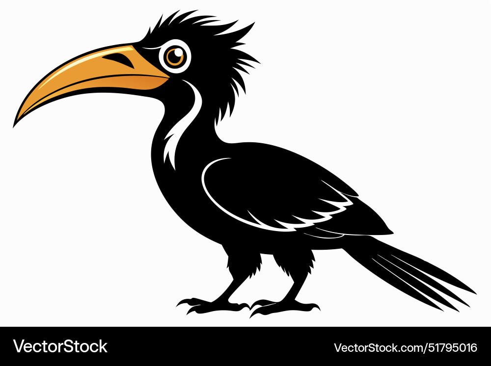 Full body view impressive beak hornbill cfull Vector Image