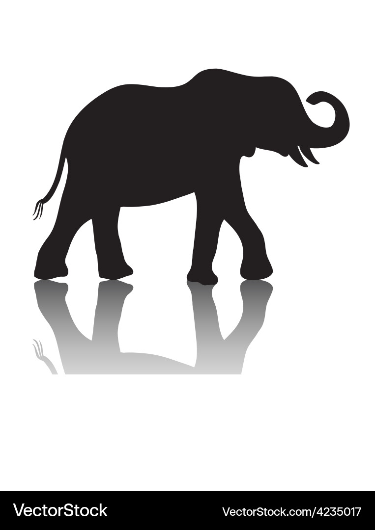 Elephant Shadow Vector Images (over 3,500)