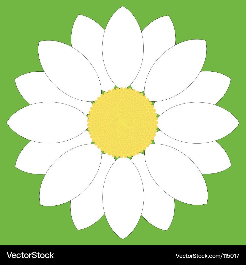 White flower Royalty Free Vector Image - VectorStock