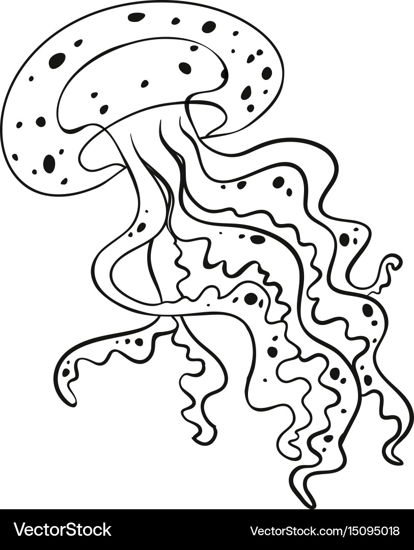 Animal outline for jellyfish Royalty Free Vector Image