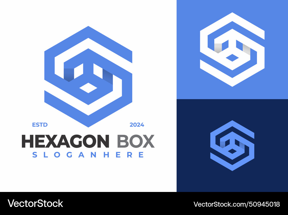Letter s hexagon box logo design symbol icon Vector Image