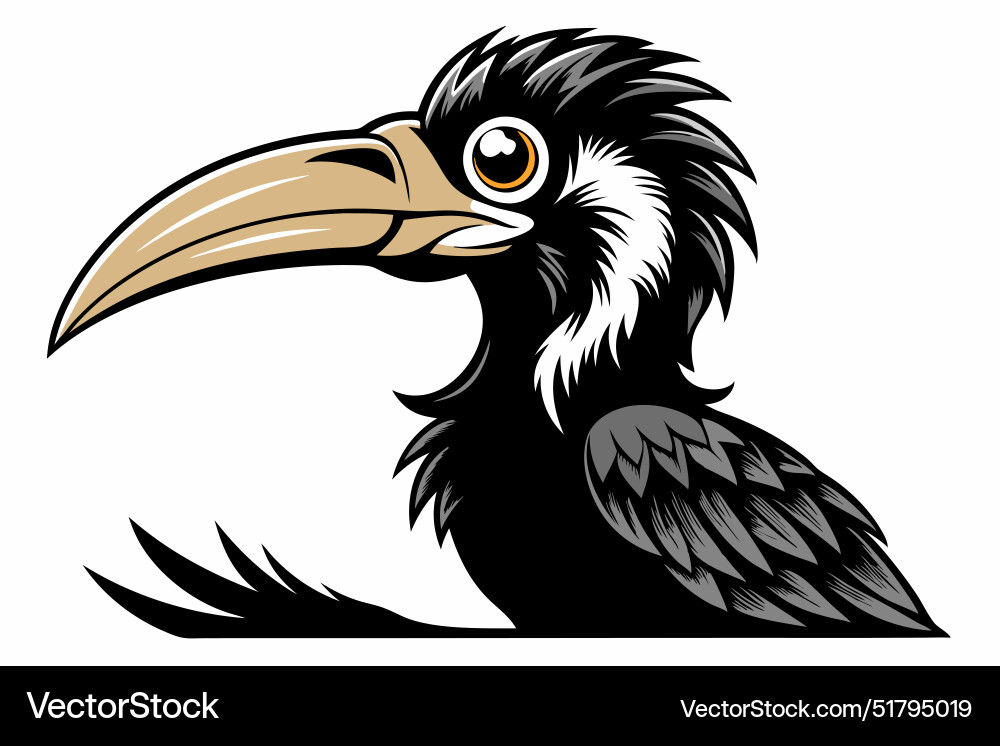 Full body view impressive beak hornbill d Vector Image