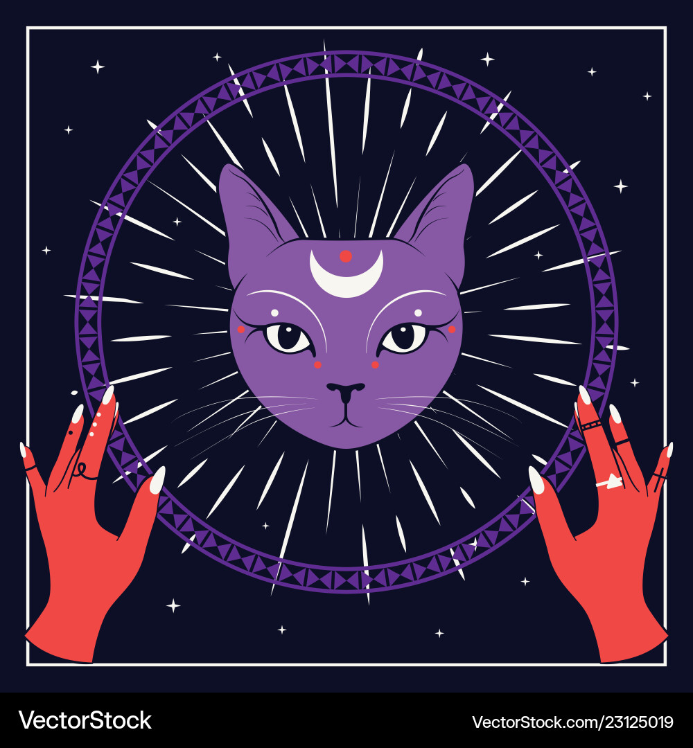 Violet cat face with moon on night sky Royalty Free Vector