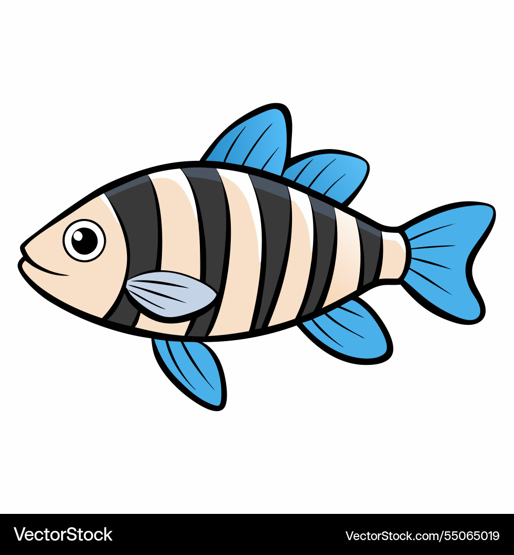Zebra danio fish isolated flat on white background
