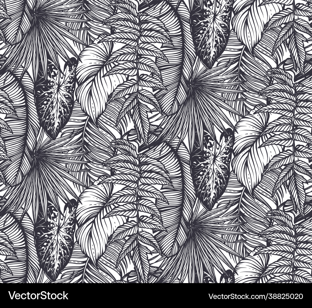 Beautiful seamless pattern with tropical jungle Vector Image