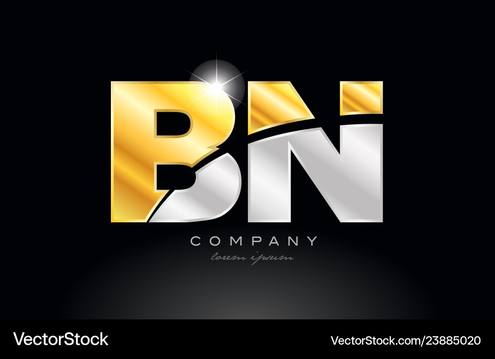 Combination letter bn b n alphabet with gold Vector Image