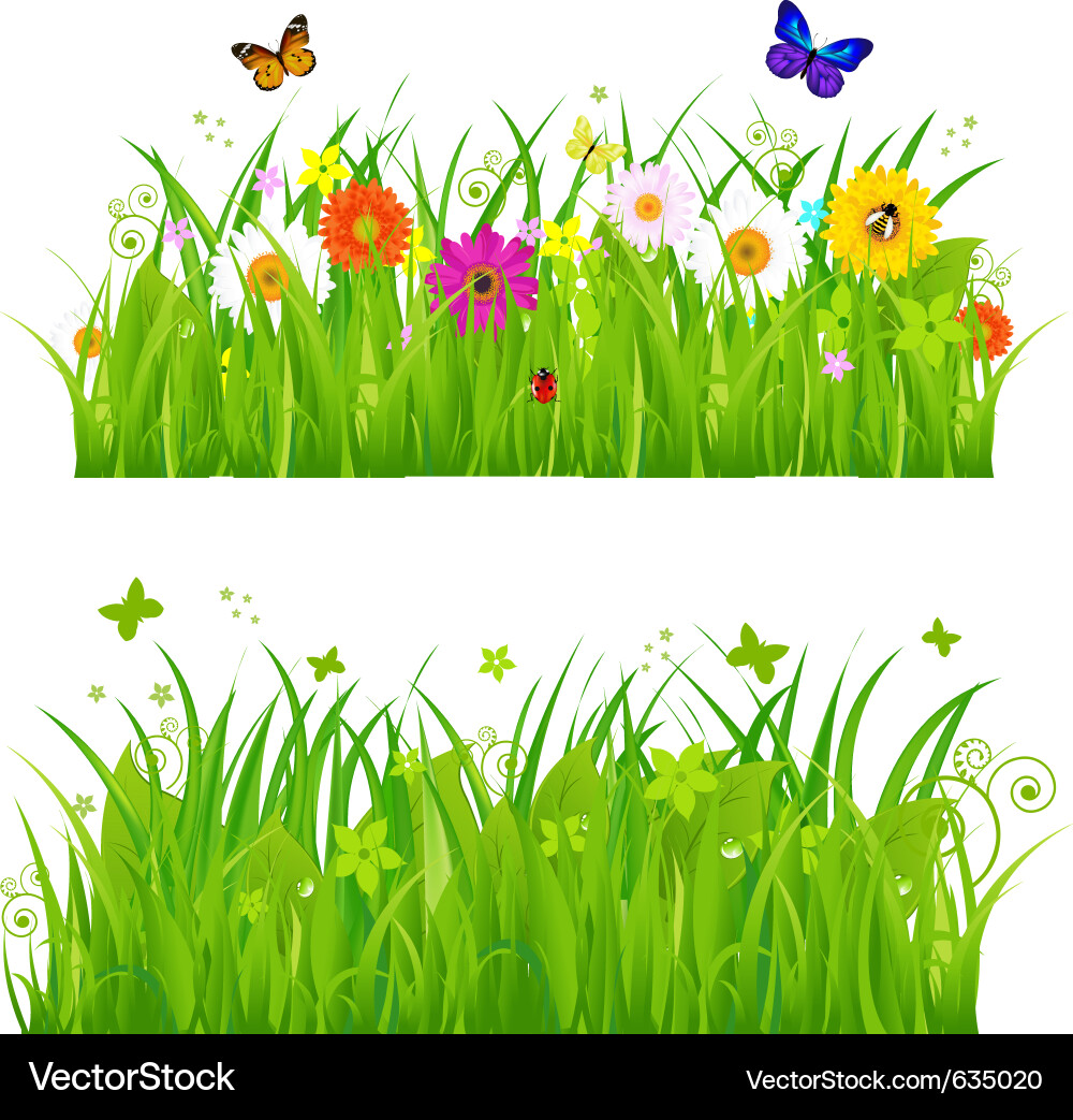 Flowers and insects Royalty Free Vector Image - VectorStock