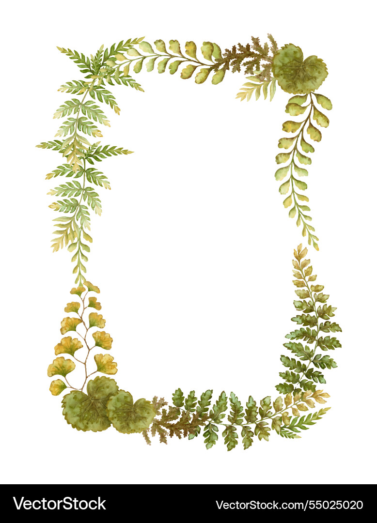 Rectangular wreath with fern leaves botanical card – Royalty-Free ...