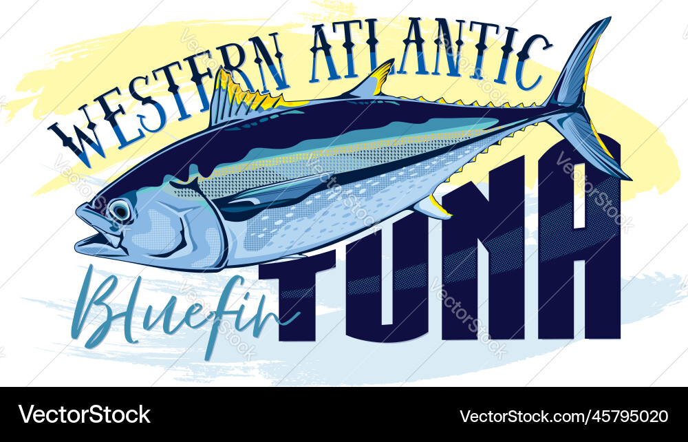 Western atlantic bluefin tuna Royalty Free Vector Image
