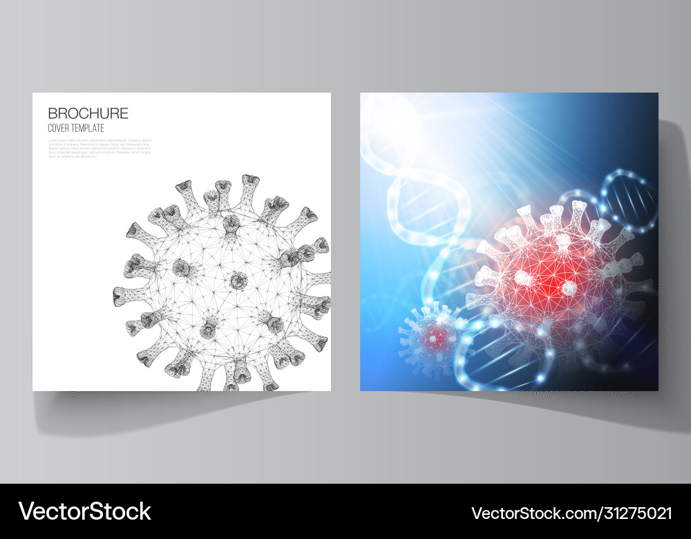 Layout two square cover templates Royalty Free Vector Image