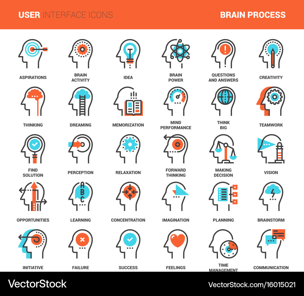 Thinking and brain process Royalty Free Vector Image