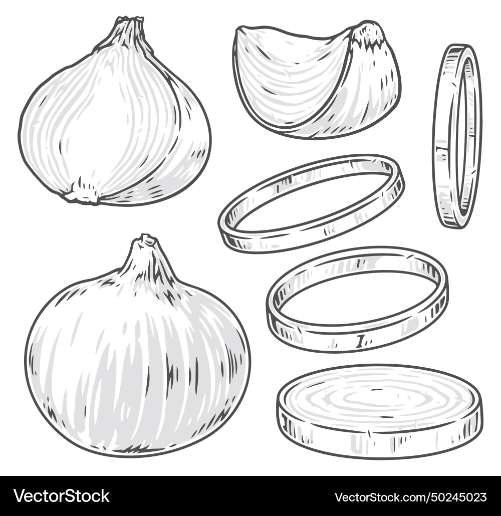 Chopped onion monochrome logotypes set Royalty Free Vector