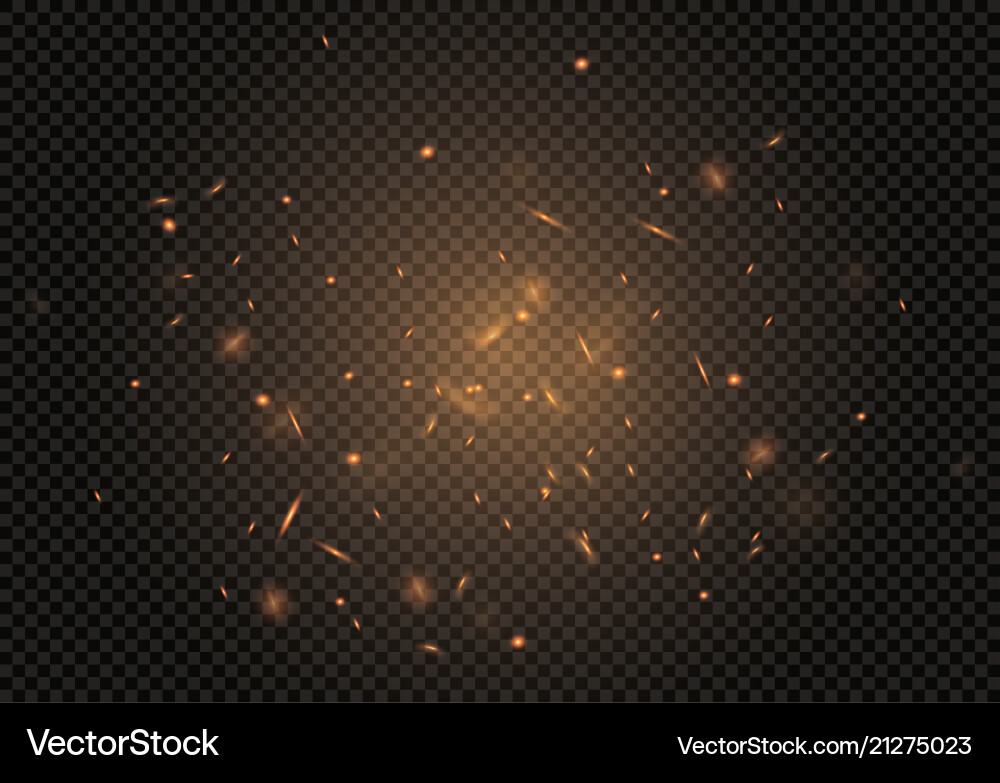 Fiery Flames with Sparks Royalty Free Vector Image
