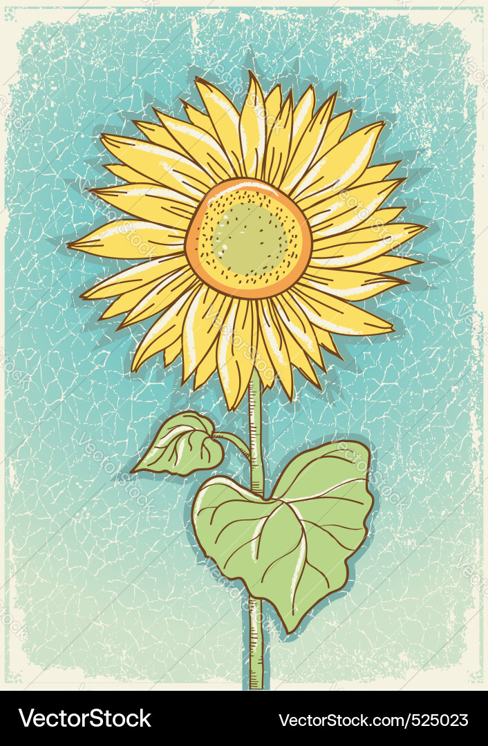 Sunflower Royalty Free Vector Image - VectorStock