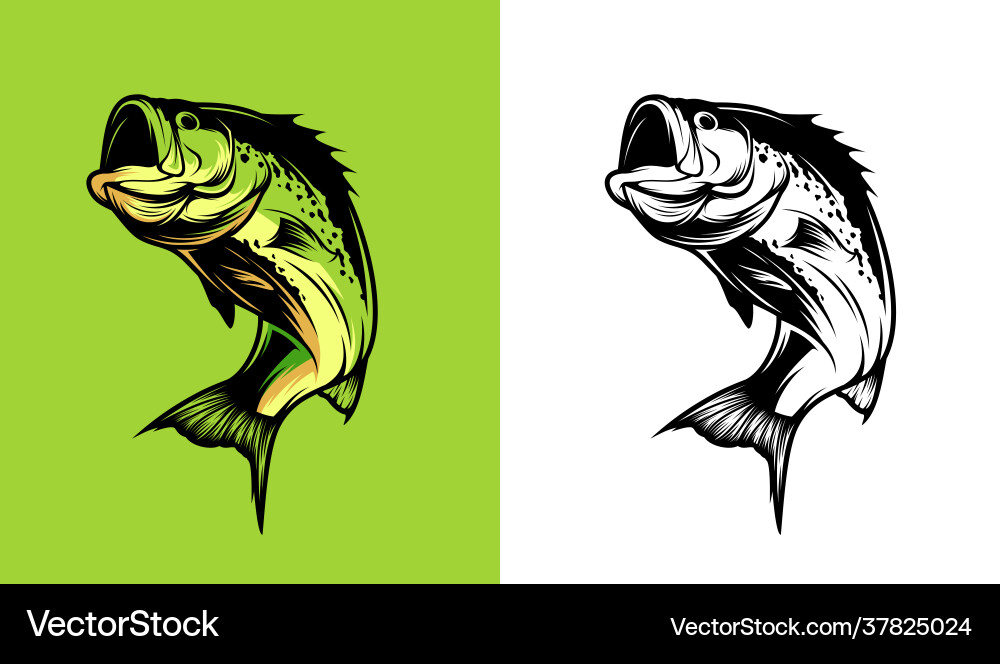Bass Fisch Lizenzfreies Vektorbild - VectorStock