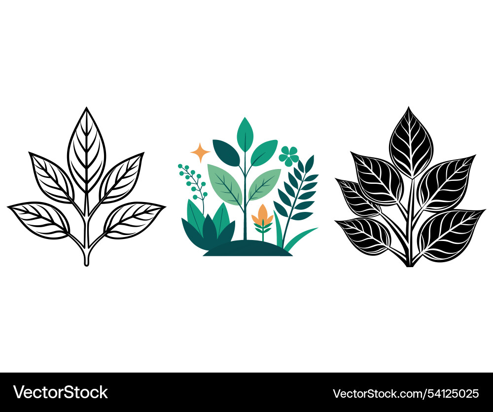 Botanical leaf icon set in black outline Vector Image