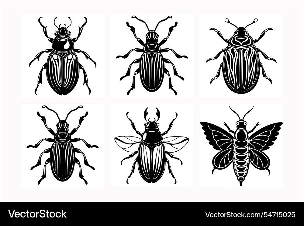 Set of insects Royalty Free Vector Image - VectorStock